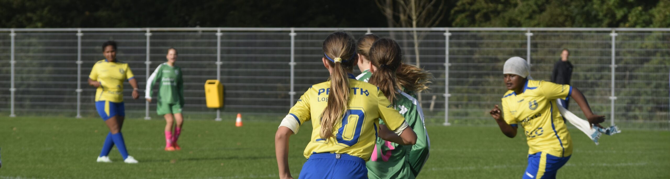 MO13 (2023-2024) - FC Dauwendaele